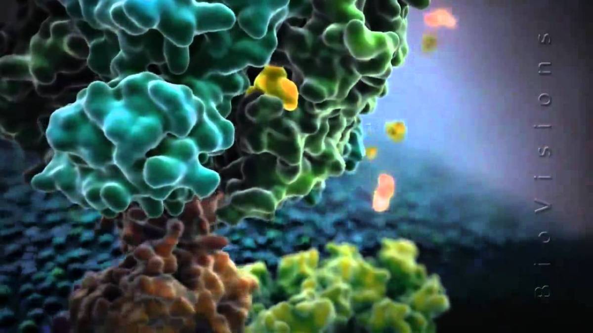 Video: The Inner Life of the Cell | Vox Populi