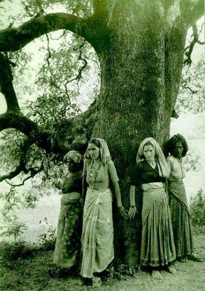 Michael Simms: A Brief History Of Tree Hugging | Vox Populi