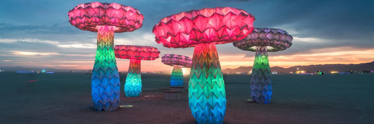Video: Nora Atkinson | Why Art Thrives at Burning Man | Vox Populi