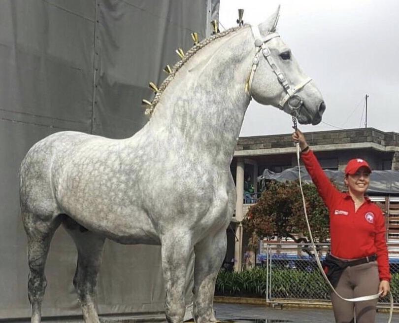 Judith Sanders: Feeding the Horses at Crystal Spring Farm | Vox Populi