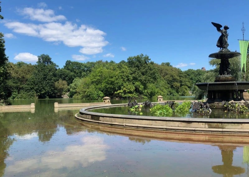 Danielle Renwick: Central Park’s Climate Lab Is a Window Into the ...