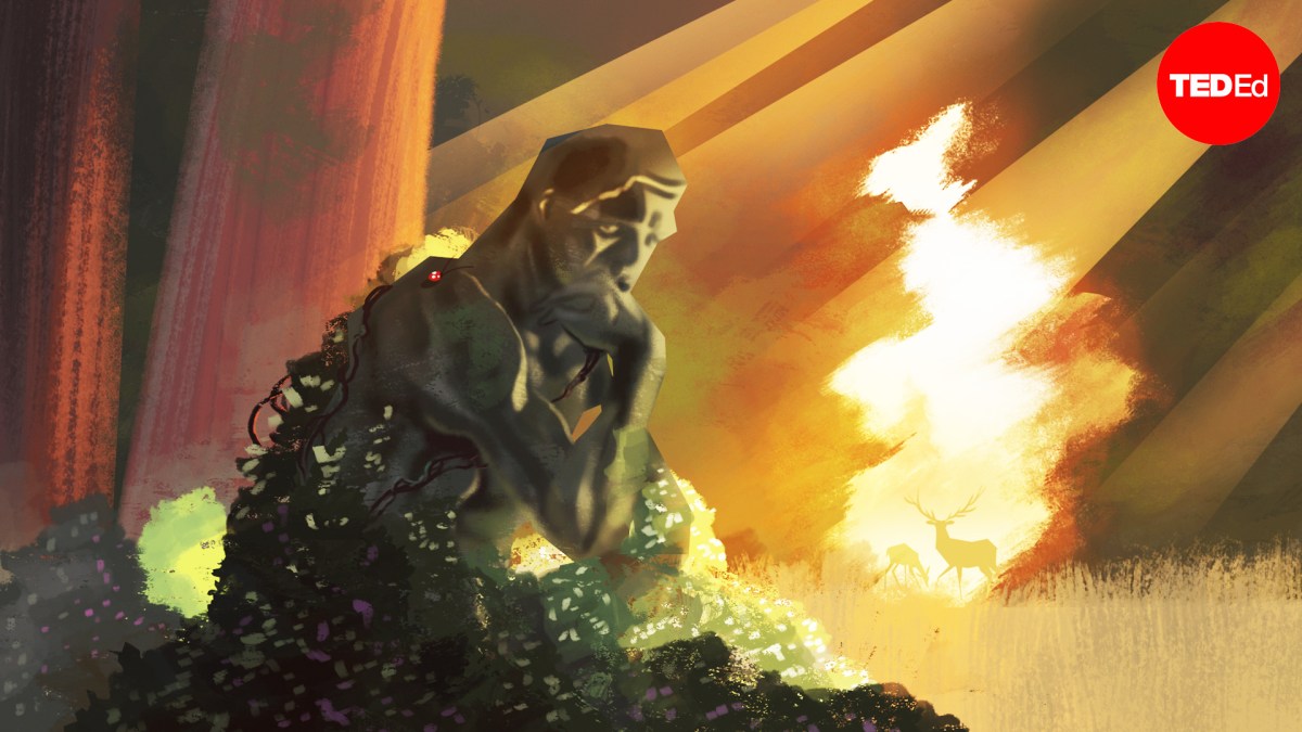 Video: What would happen if every human suddenly disappeared? | Vox Populi