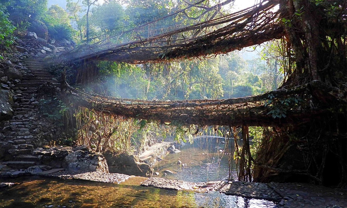 Anne Pinto-Rodrigues: Why Intergenerational Thinking Is Essential to ...