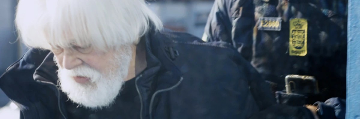 Edward Carver: Anti-Whaling Activist Paul Watson Arrested in Greenland ...