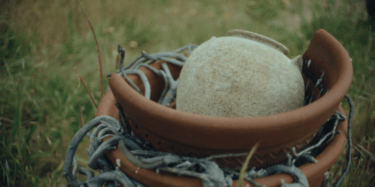 Video: A Kind Favor | Vox Populi